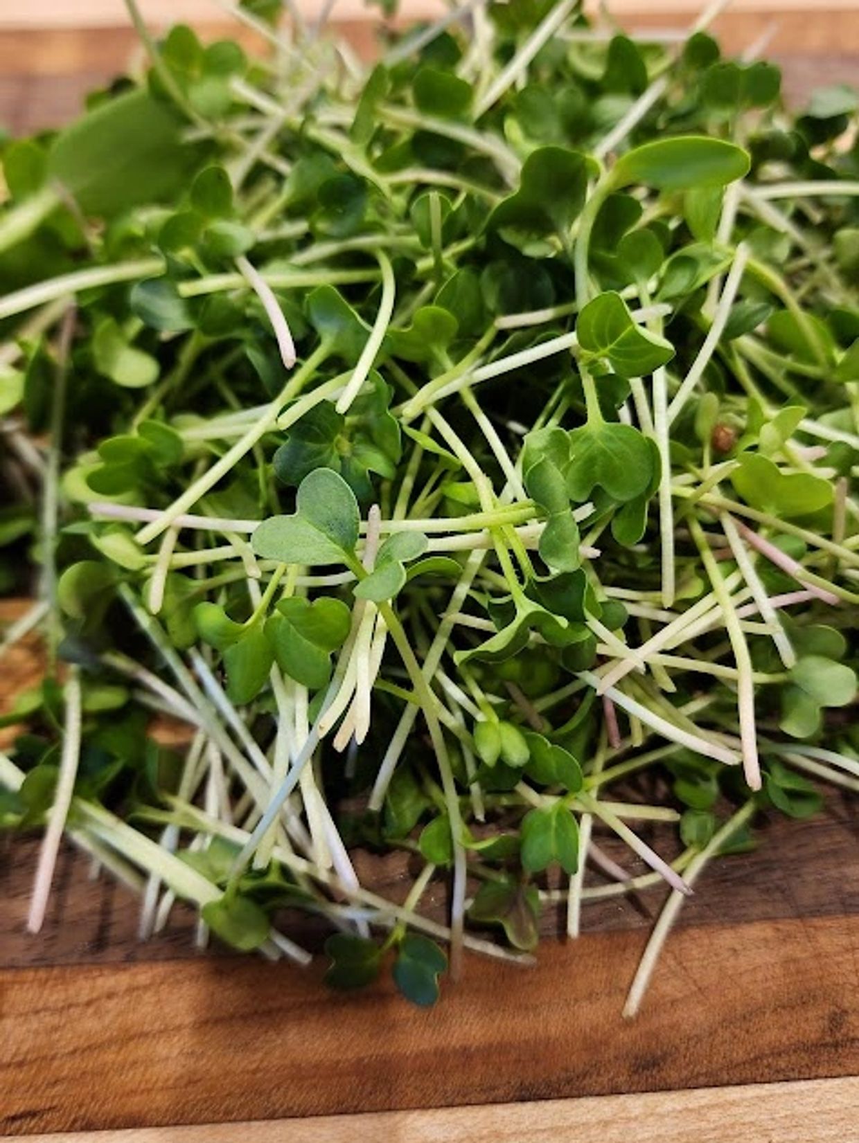 Zesty Microgreen Dressing